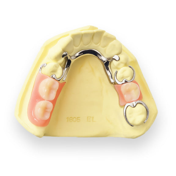 Online Custom Metal Partial Upper Lower Denture – PDD